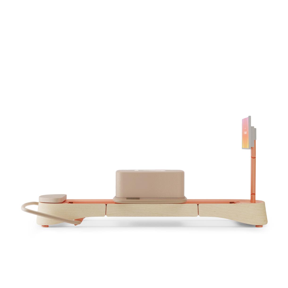 FRAME Fitness Pilates Reformer | goop