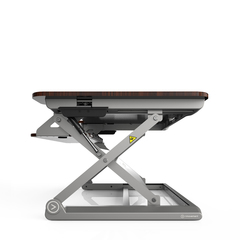 InMovement Standing Desk Pro DT20 | InMovement - Goop Shop - Goop Shop