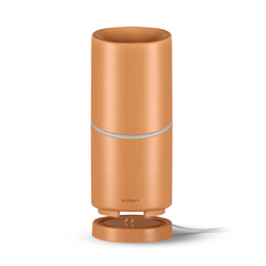 Move Diffuser Terracotta | vitruvi - Goop Shop - Goop Shop
